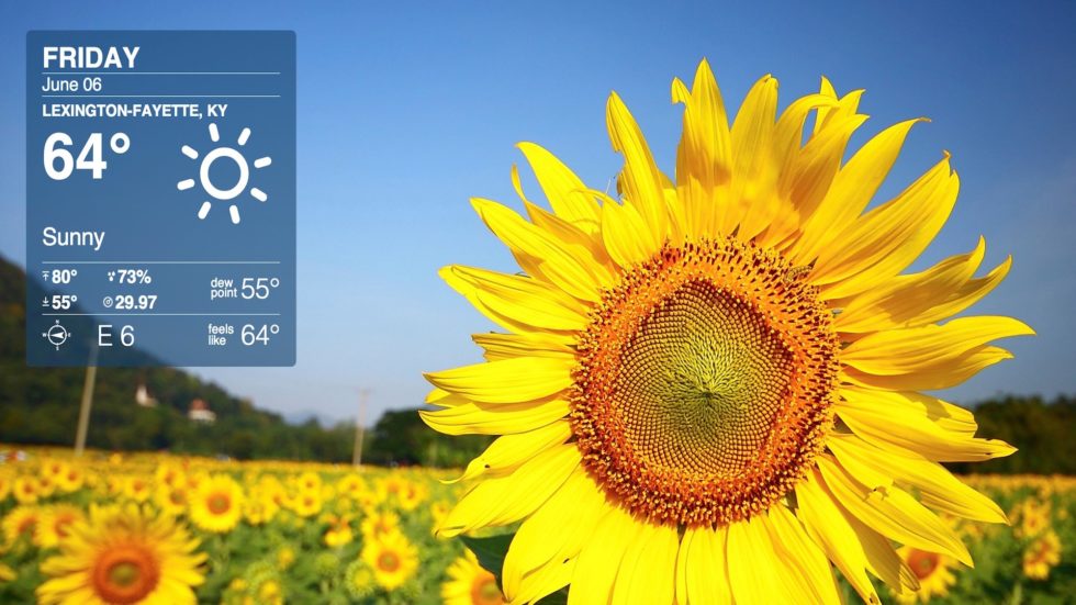 Broadcast and Digital Media - Custom Weather